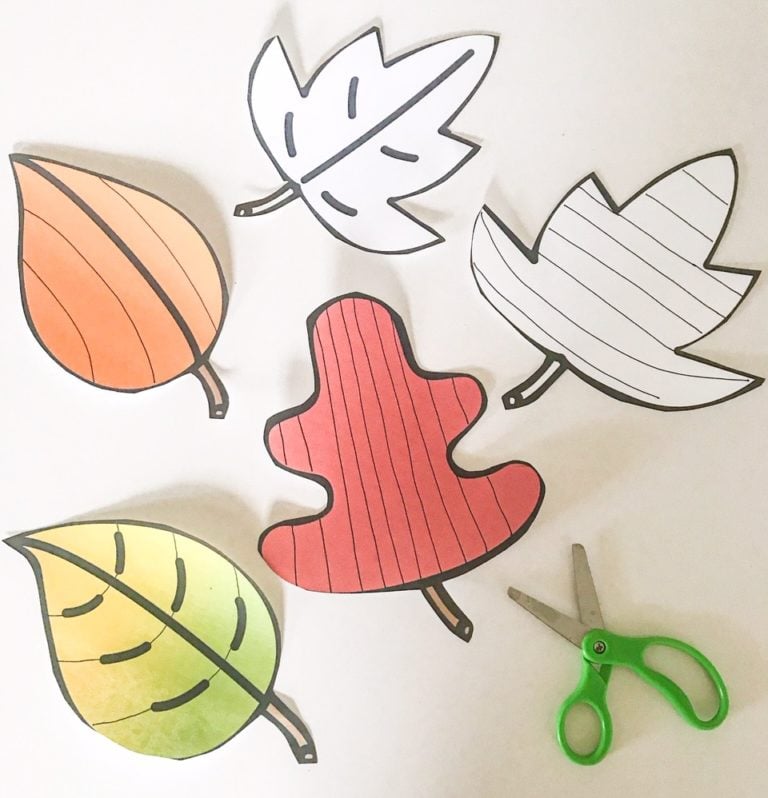 Season Resources (Spring, Summer, Fall, Winter) - ABCDee Learning