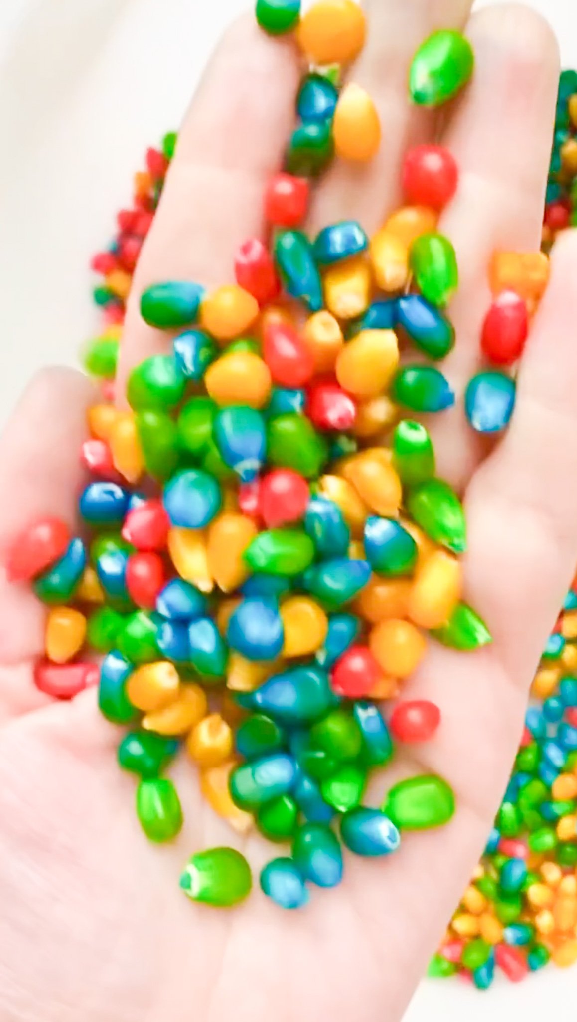 How to Dye Popcorn Kernels (2025) - ABCDee Learning